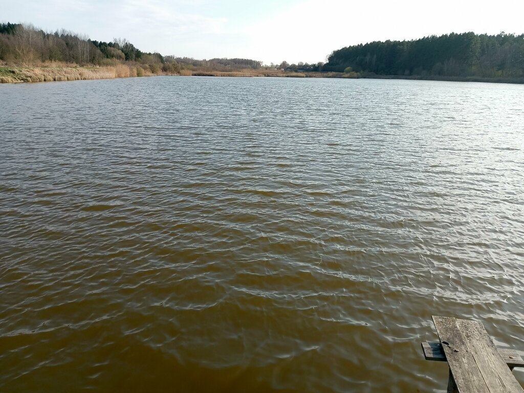 Balık çiftçiliği ve toptancıları Рыбхоз Струбницкий, Grodnenskaya oblastı, foto
