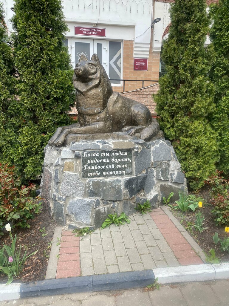 Park, sokak heykeli Tambov wolf, Tambovskaya oblastı, foto