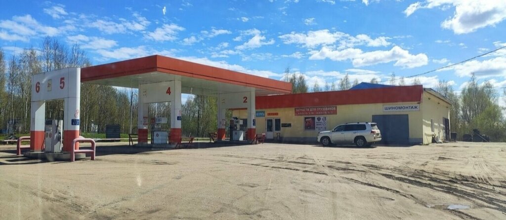 Otomobil yedek parçaları Евро Трак, Bezheck, foto