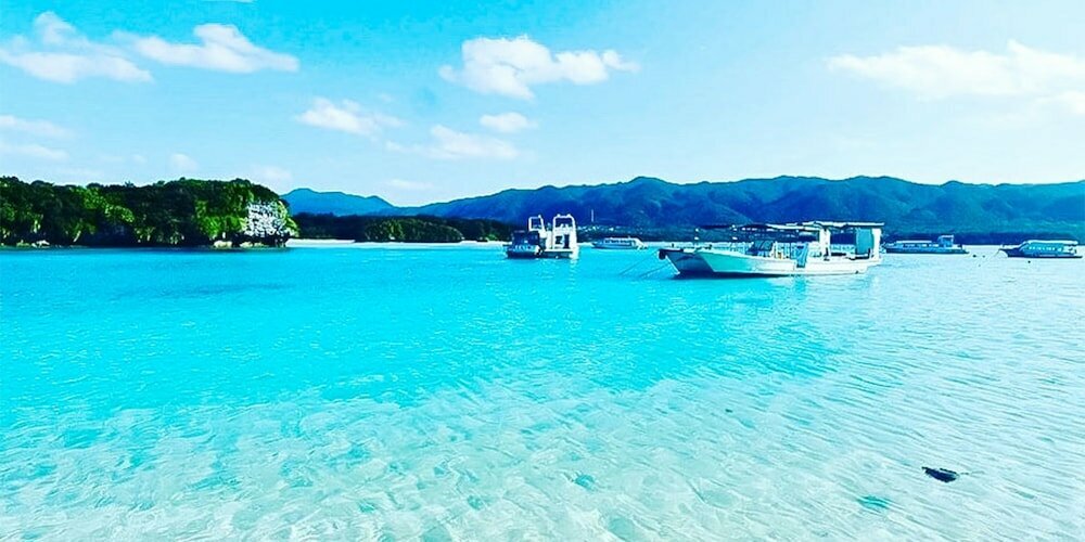 Otel Guesthouse Opuntia - Hostel, , foto