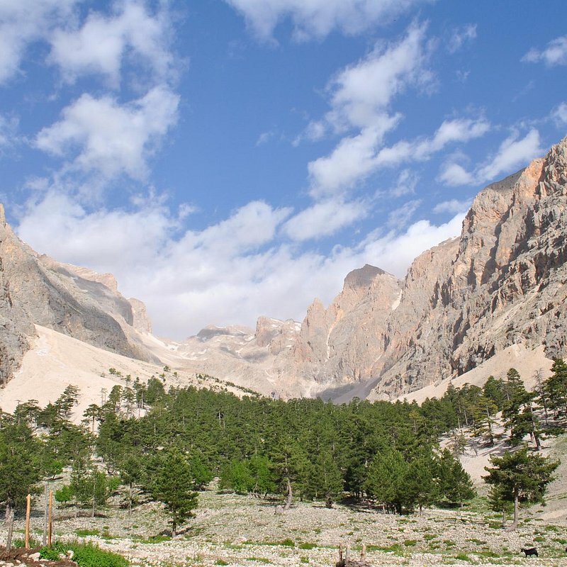 Piknik alanı Alidağı Orman Parkı Piknik Alanı, Talas, foto