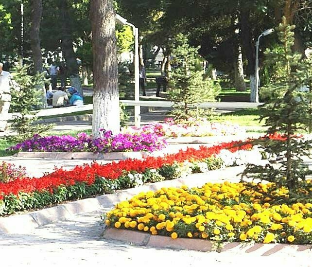 Piknik alanı Alidağı Orman Parkı Piknik Alanı, Talas, foto