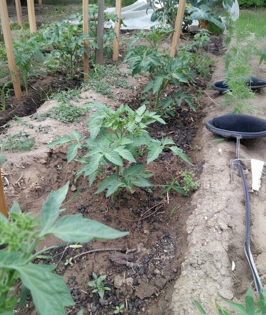 Eğlence merkezleri Çınar Park, İstanbul, foto