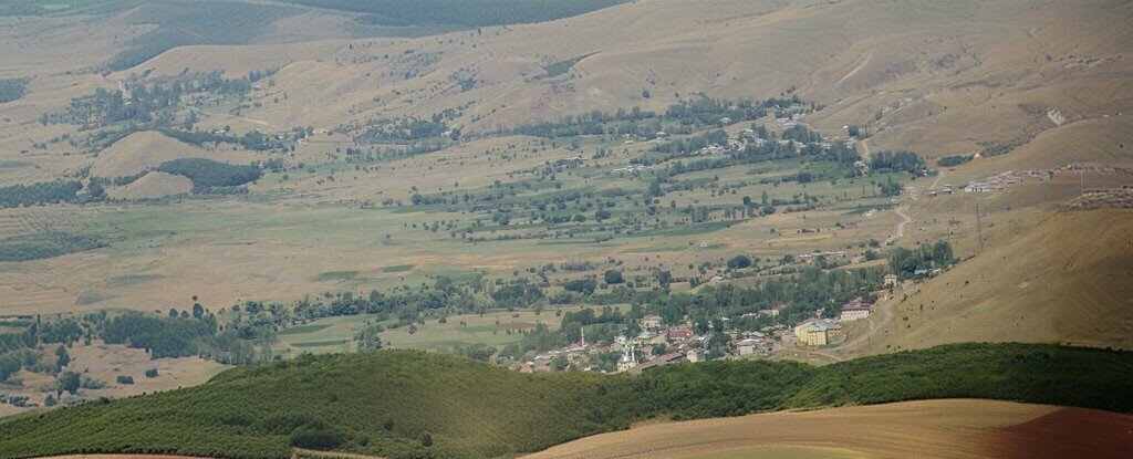 Cami Merkez Cami, Yedisu, foto