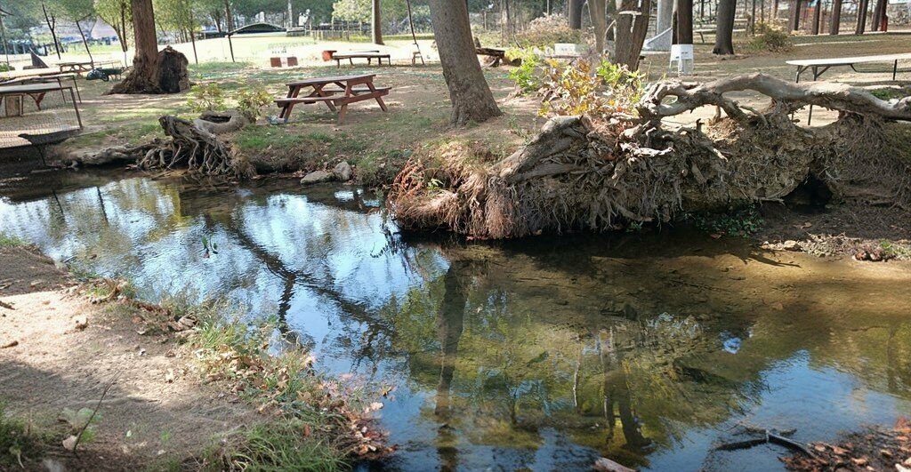 Restoran Çandır Aile Restorant, Bayramiç, foto