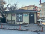 Aziziye Mahalle Muhtarlığı (Ankara, Çankaya, Aziziye Mah., Portakal Çiçeği Cad., 9), muhtarlıklar  Ankara'dan