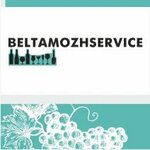 Белтаможсервис (vulica D.N. Pieniazkova No:41), alkollü içecekler  Gomel'den