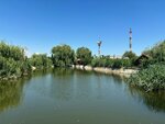 Рыбное хозяйство, рыбоводство (Виноградный переулок No:4, Джанкой), balık çiftçiliği ve toptancıları  Canköy'den