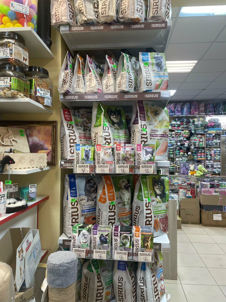 Petshop Мягкие лапки, Yaroslavl, foto