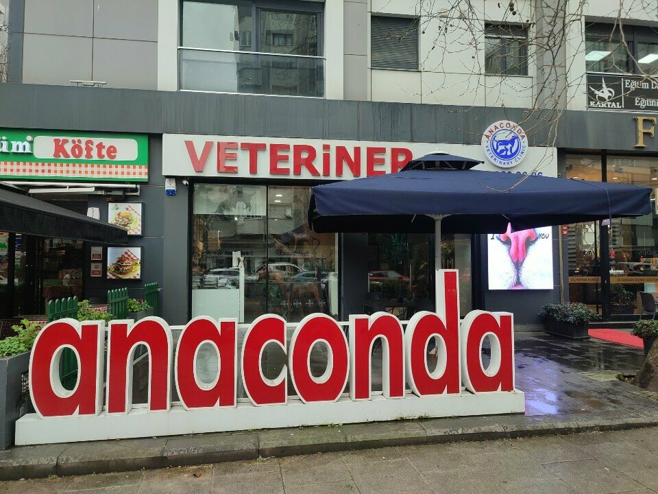 Veteriner klinikleri Anakonda Veteriner Kliniği, İstanbul, foto