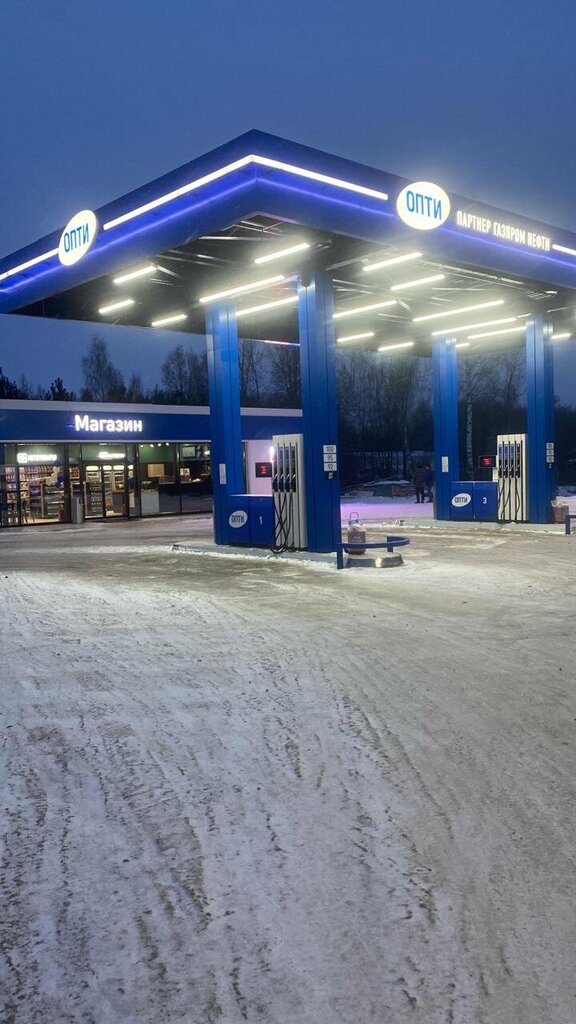 Benzin istasyonu Opti, Kostromskaya oblastı, foto