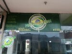 Portugues E Voce (Santa Cruz de la Sierra, Distrito Municipal 11, Sucre, 575), meslek kursları  Santa‑Krus'tan