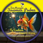 Золотая Рыбка (bulvar Lazareva No:1), petshop  Kostomucsha'dan
