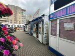 Семена (Sialianskaja vulica No:37), tohum satan yerler  Gomel'den