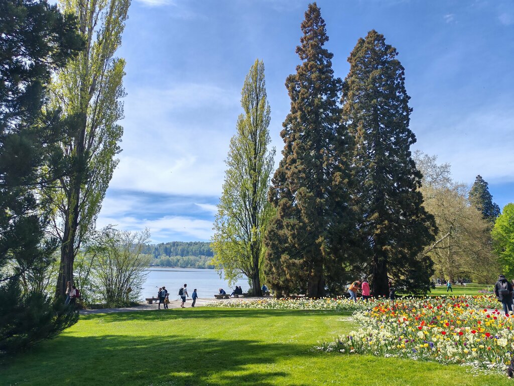 Doğa koruma alanı остров цветов Mainau, Baden‑Wurttemberg, foto