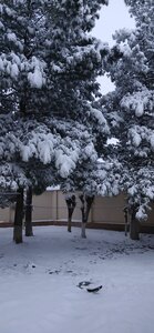 N&j (Jizzakh, K. Imomov Street), otel  Cizzak'tan
