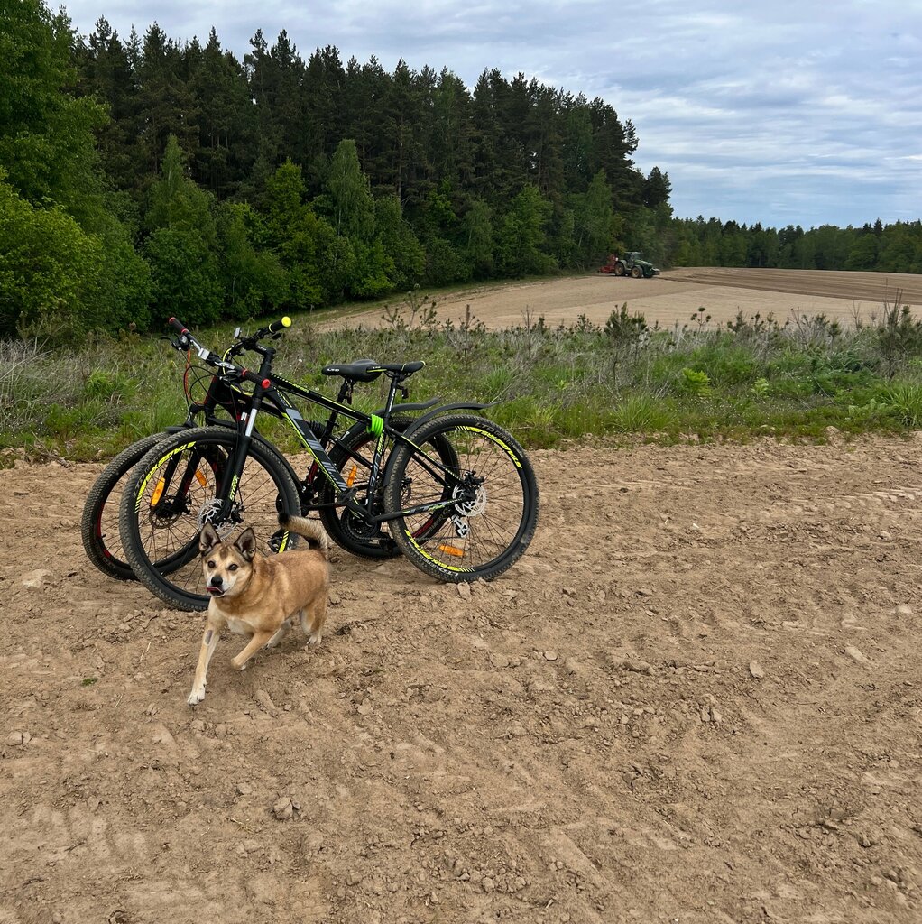 Dağ zirvesi Высота 268 метра, Minskaya oblastı, foto
