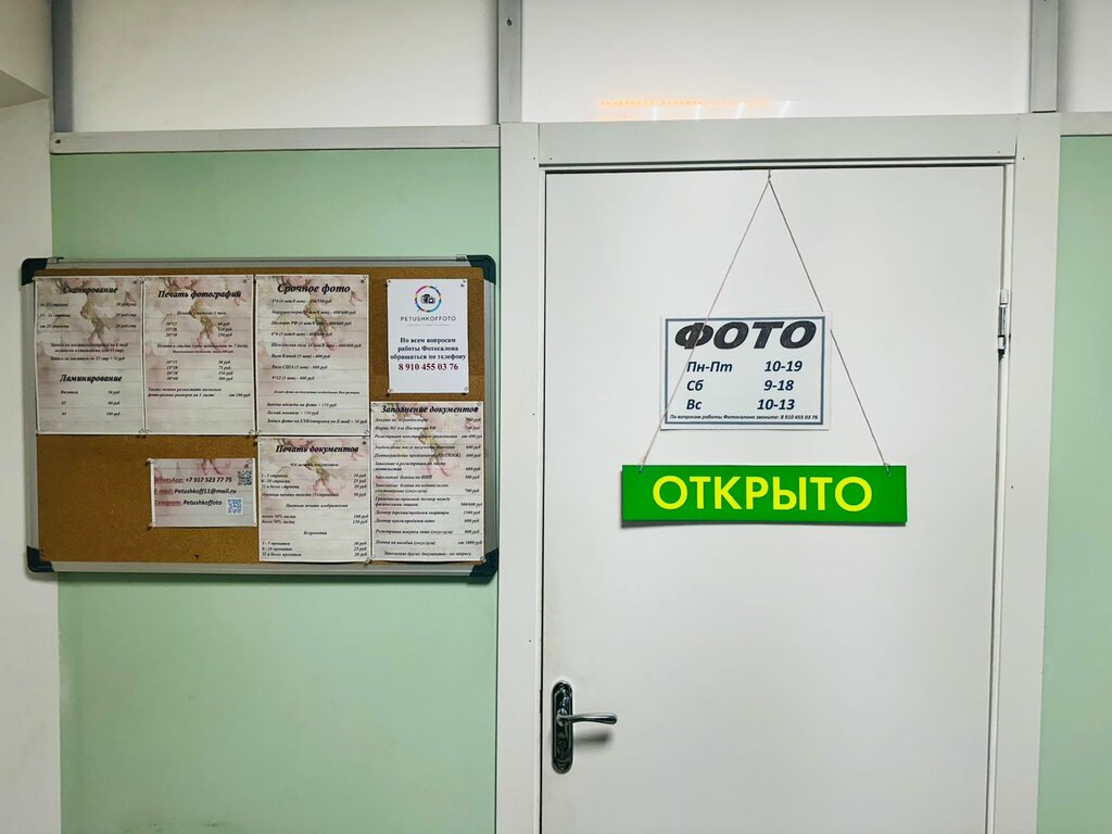 Fotoğraf hizmetleri Petushkoffoto, Moskova, foto