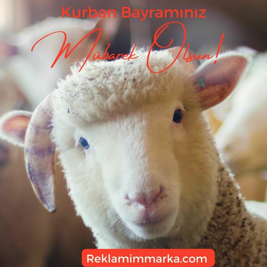 Gıda malzemeleri ve baharatlar Merkez Şifa Evi Lokman Aktar, Alaplı, foto