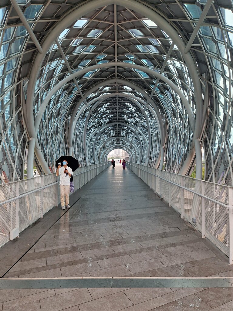 Turistik yerler Saloma Link Bridge, Kuala Lumpur, foto