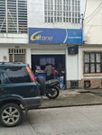 Gane (Valle del Cauca, Municipio de Santiago de Cali, Calle 14, 35-39), oyun salonları  Cali'den