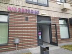 Wildberries (Zhigulyovskaya Street No:3Ак2), teslimat noktası  Moskova'dan
