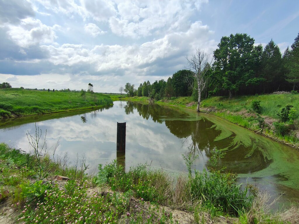 Doğa Исток реки Сура, Ulyanovskaya oblastı, foto