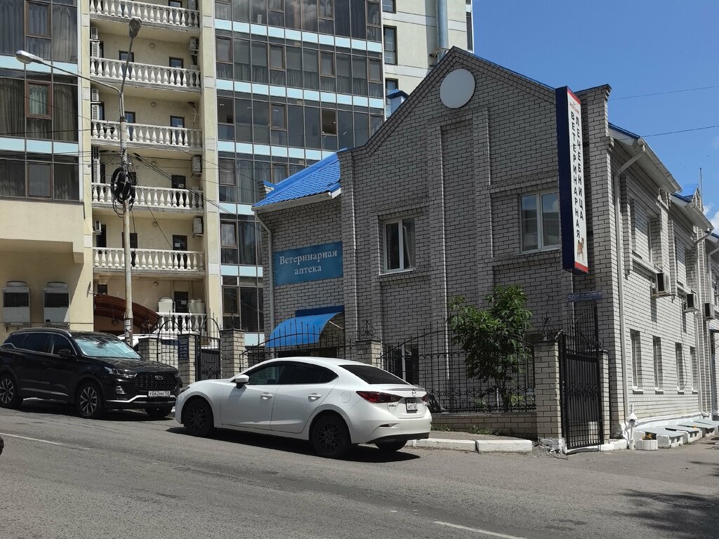 Veteriner klinikleri Pravoberezhnaya veterinarnaya lechebnitsa, Voronej, foto