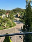 Sunnyside Gardens (Lusaka, Ibex Hill), sera ve bahçe ürünleri  Lusaka'dan