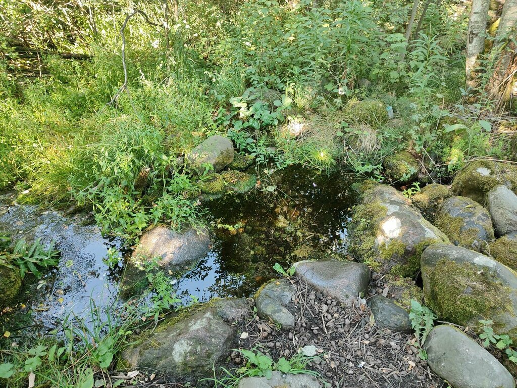 Pınar, çay Spring, stream, Saint‑Petersburg ve Leningradskaya oblastı, foto