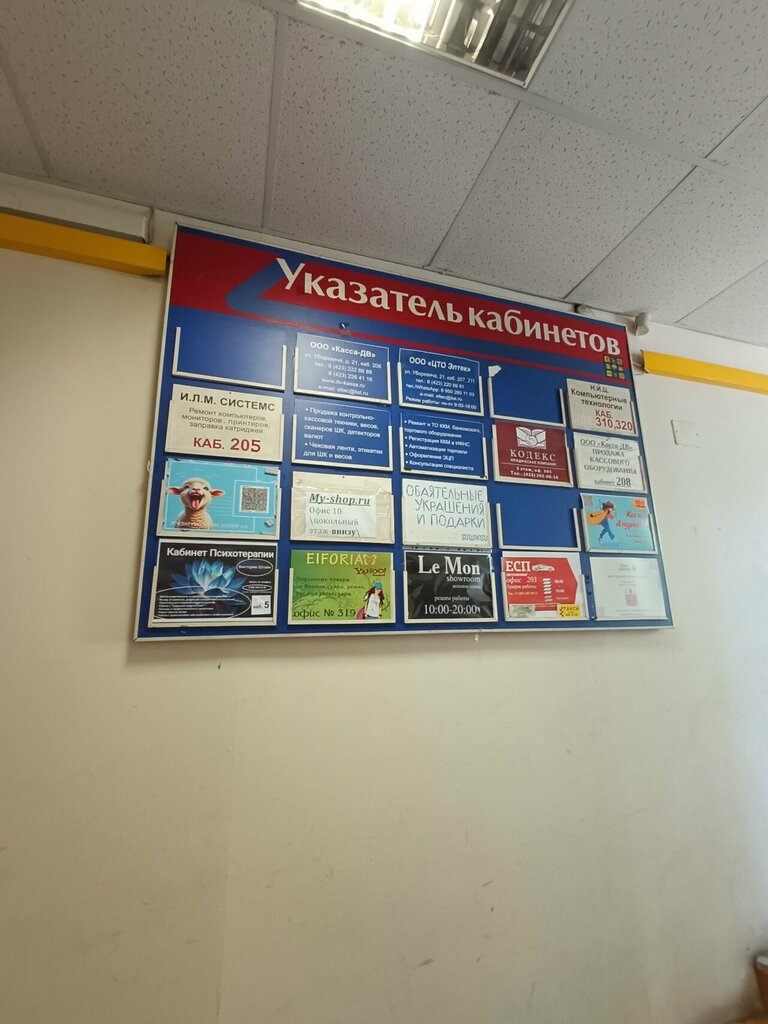 Yönetim ofisi И. Л. М. системс, Vladivostok, foto