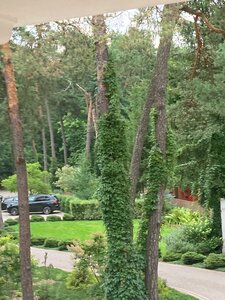 Baśniowa (Masovian Voivodeship, Wołomin, ulica Poniatowskiego, 10), otel  Wyszkow'dan