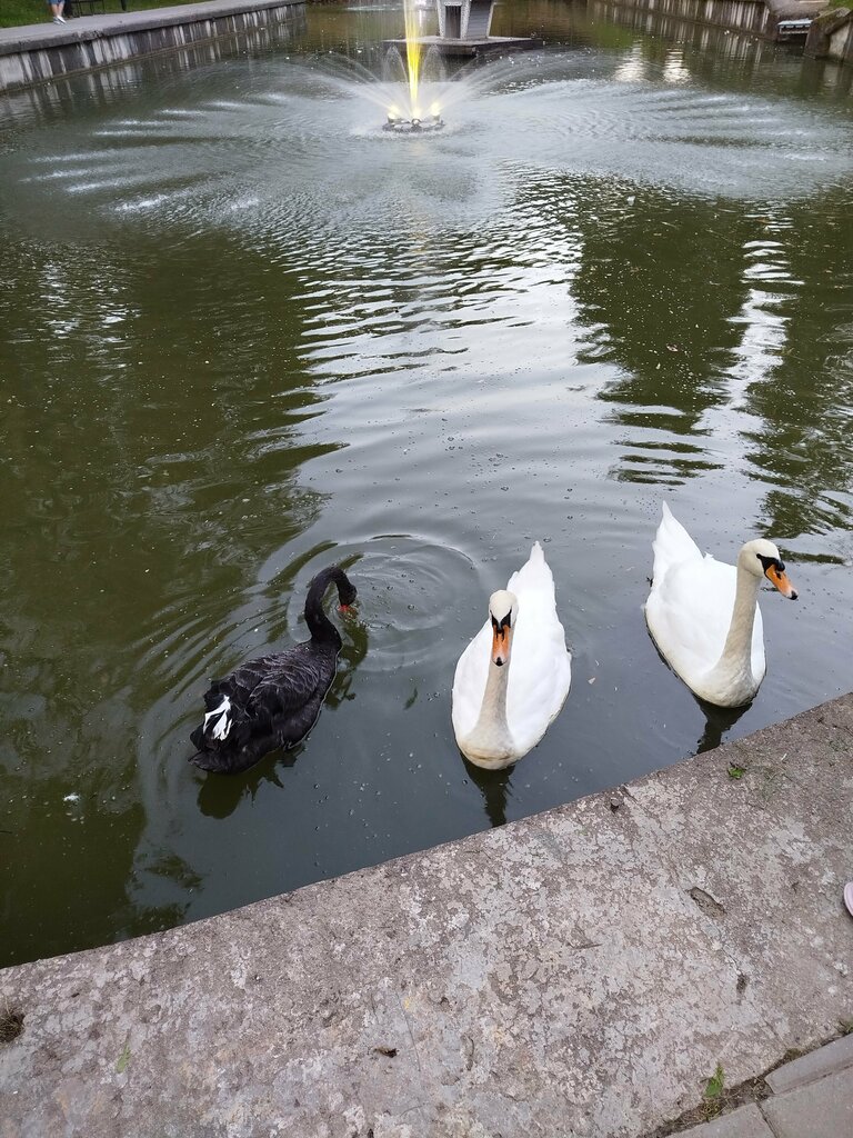 Lunapark Парк аттракционов, Smolensk, foto
