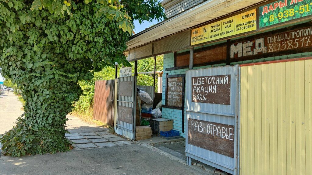 Bal ve arıcılık firmaları Дары леса, Krasnodar, foto