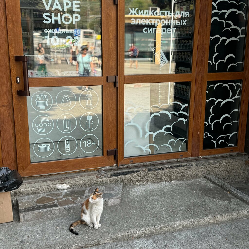 Elektronik sigara satış noktaları PgVg, Yalta, foto