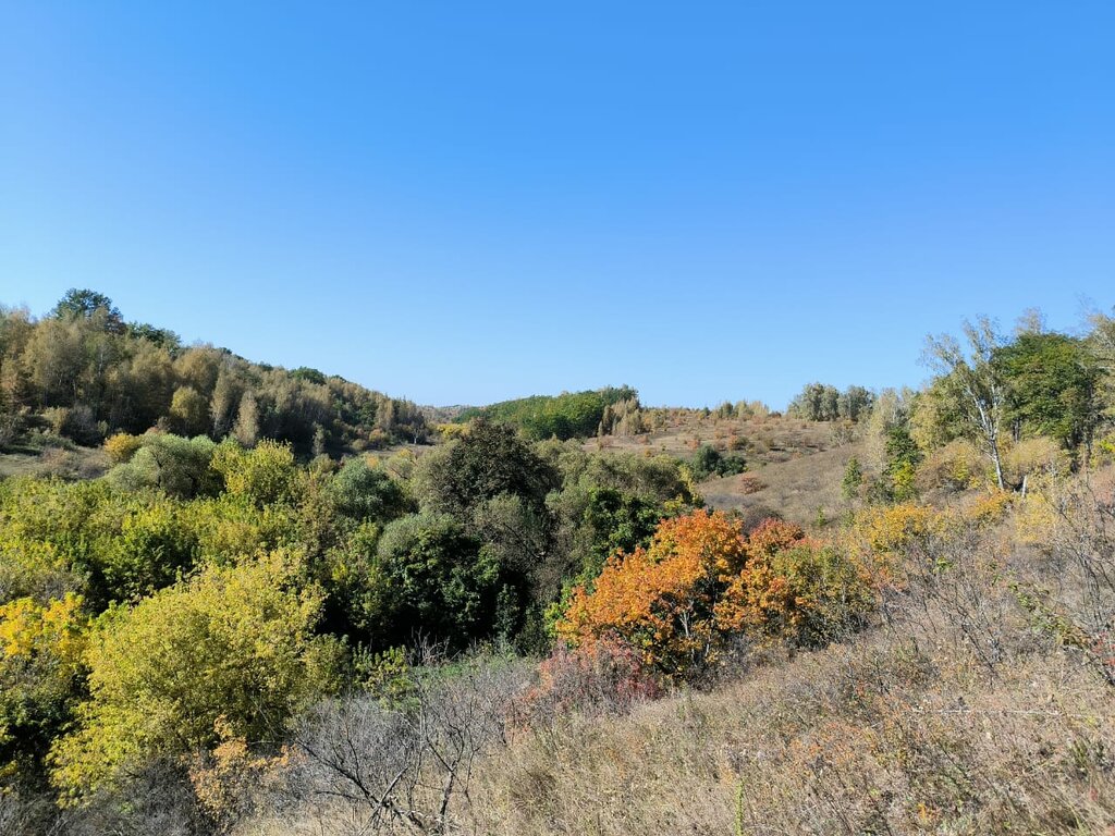 Doğa koruma alanı памятник природы регионального значения Бык, Lipetskaya oblastı, foto