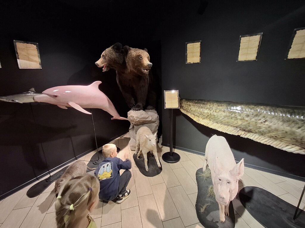 Müzeler ve sanat galerileri Музей аномалий тела, Kazan, foto