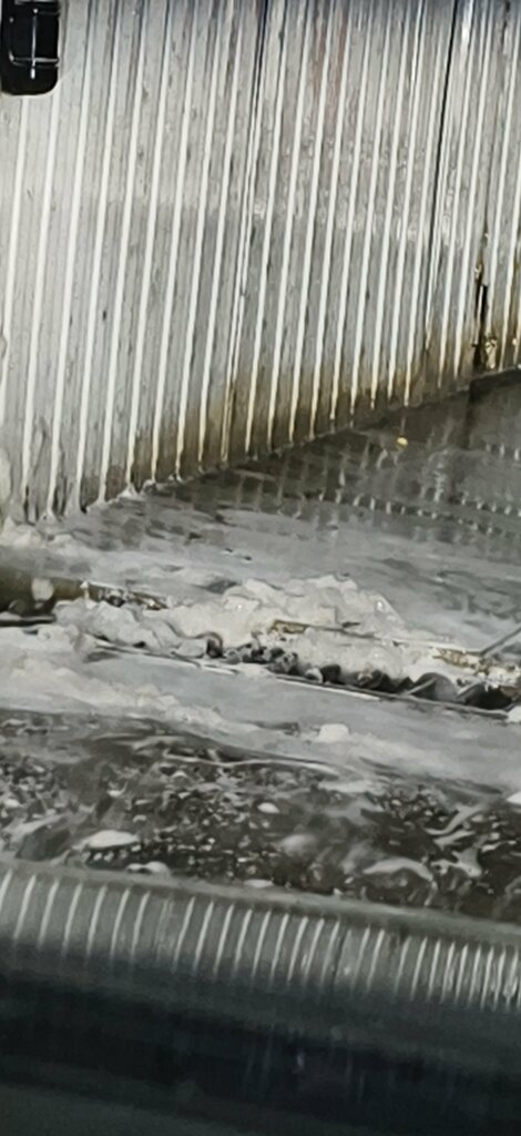 Oto yıkama Geizer, Krasnoyarsk, foto