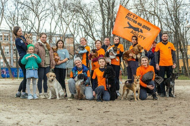 Köpek hizmeti Федерация кинологического спорта, Rostov‑na‑Donu, foto
