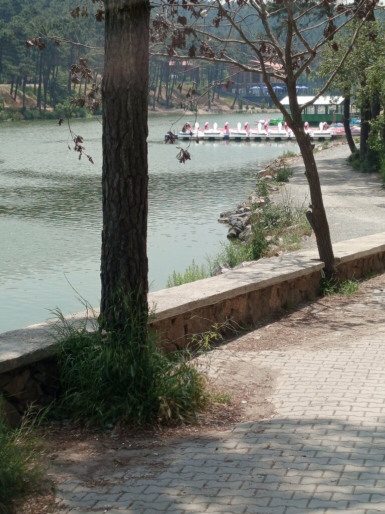 Kültür ve eğlence parkları Aydos Çamlık, İstanbul, foto