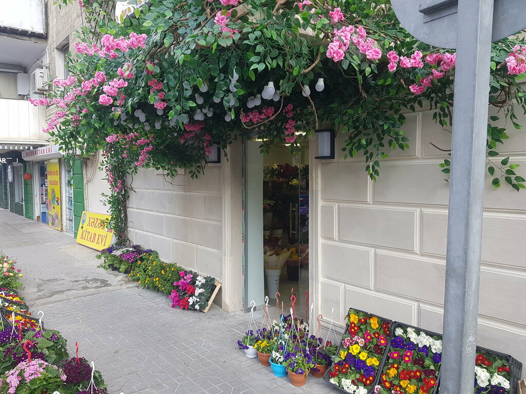Çiçekçiler Lotus Gül Evi, Bakü, foto