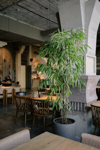 MuЯRad (Ali-Gadzhi Akushinskogo Avenue No:115, Makhachkala), restoran  Makhachkala'dan