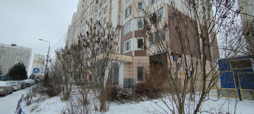 Sivil toplum kuruluşları Анонимные Алкоголики, Çehov, foto