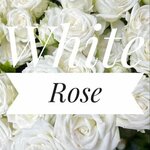 White Rose (ulitsa Rabochego Shtaba No:134/2), çiçekçiler  Irkutsk'tan