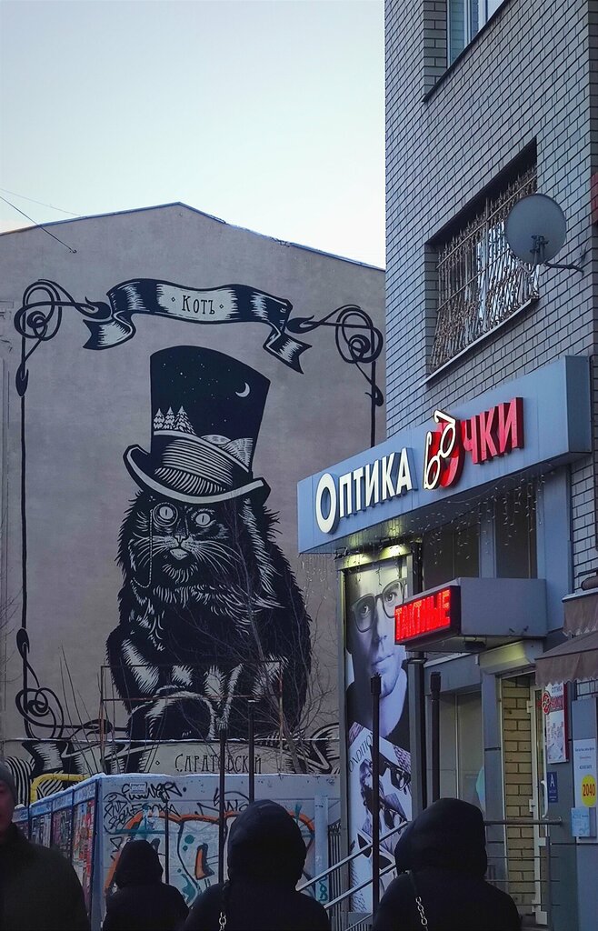 Sokak sanatı Мурал Котъ Саратовскiй, Saratov, foto