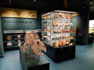 Paleovedka (Krasnyh Partizan Street No:1/4к21, Krasnodar), müzeler ve sanat galerileri  Krasnodar'dan