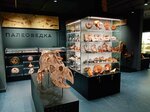 Paleovedka (Krasnyh Partizan Street No:1/4к21), müzeler ve sanat galerileri  Krasnodar'dan
