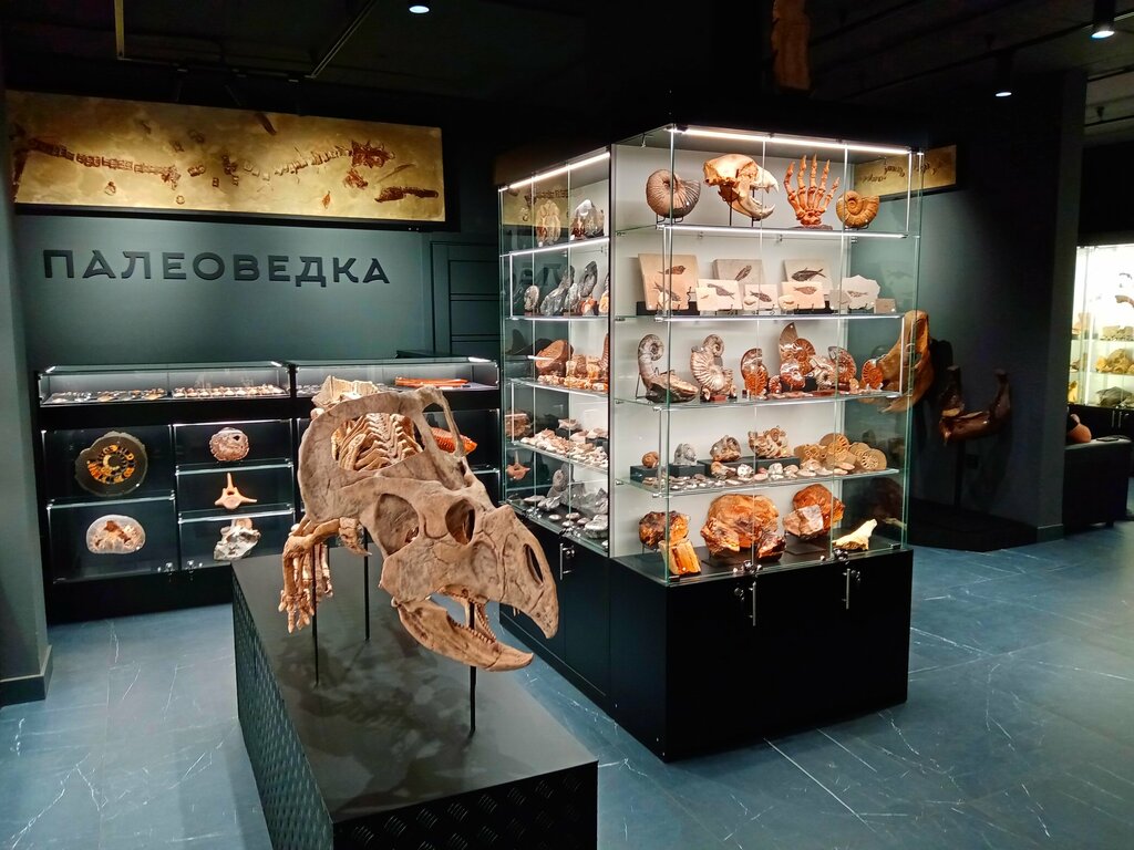 Müzeler ve sanat galerileri Paleovedka, Krasnodar, foto