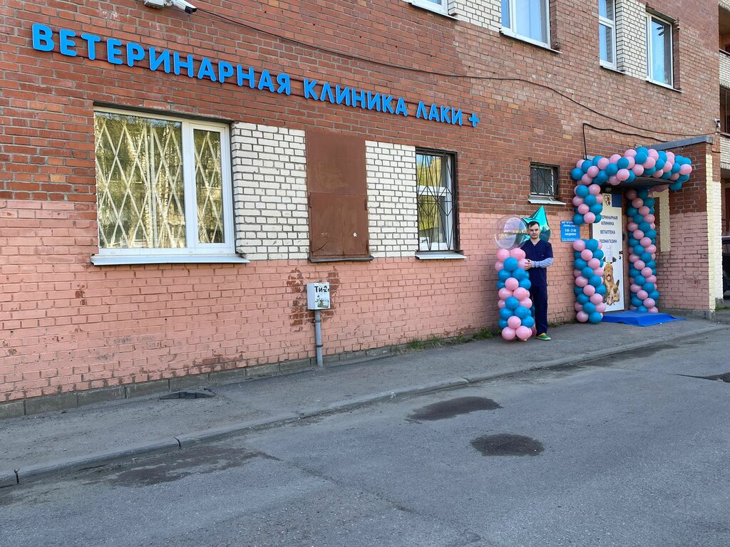 Veteriner klinikleri Lucky +, Saint‑Petersburg, foto
