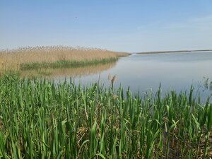 Shirvan National Park (Şirvan Milli Parkı), doğa koruma alanı  Salyan Rayonu'ndan